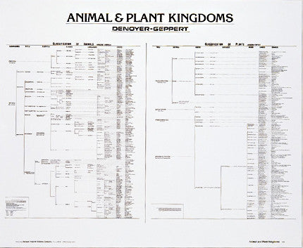 1909-10 Two Kingdom Classification System – Denoyer-Geppert Science Company